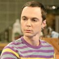 Autism Training: 'Just Watch the Big Bang Theory!'
